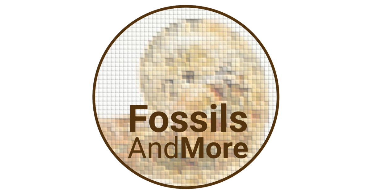 Meteorite Pendants – FossilsAndMore